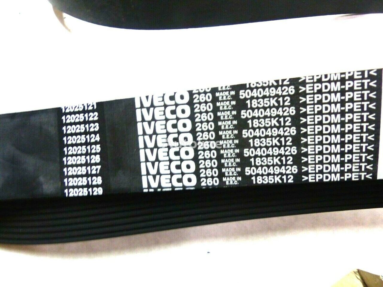 504049426 - BELT – ARETE 1